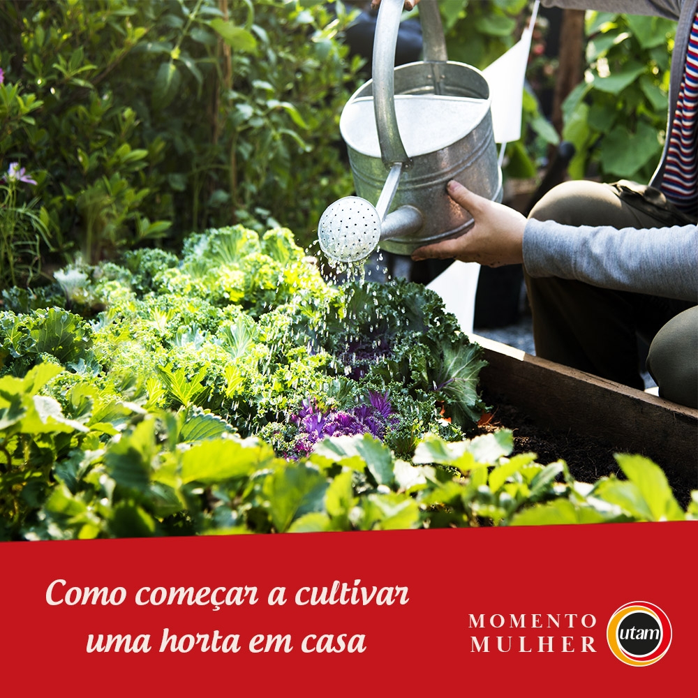 Como começar a cultivar uma horta em casa | Momentos Utam